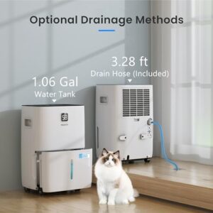 Yaufey 80 Pints Energy Star Dehumidifier for Home, Basement and Large Room up to 5000 Sq. Ft., with Drain Hose, Timer, Intelligent Humidity Control and Large Water Tank