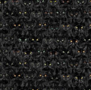 timeless treasures wicked cd1831 black cats magic fabric