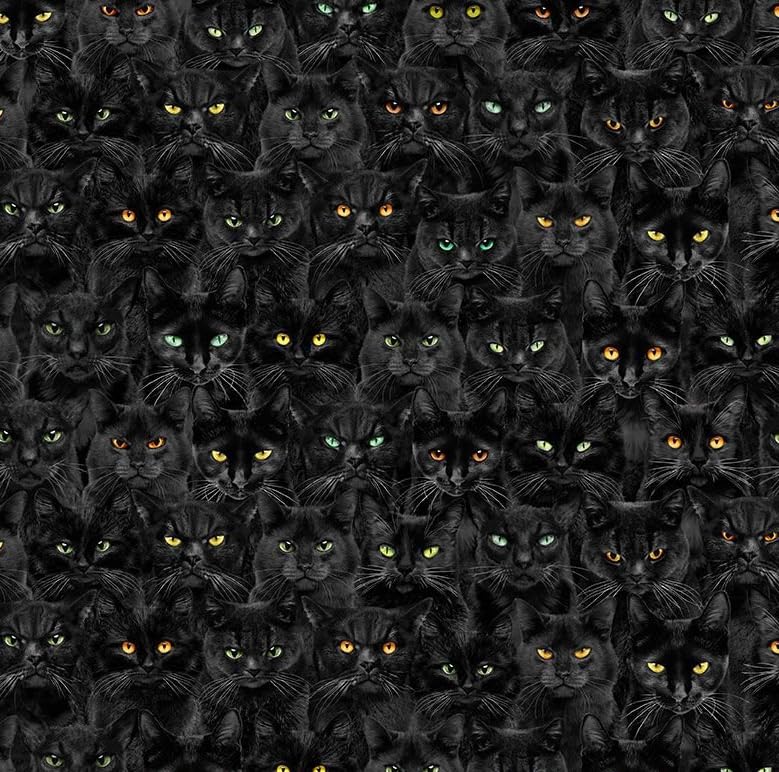 Timeless Treasures Wicked CD1831 Black Cats Magic Fabric