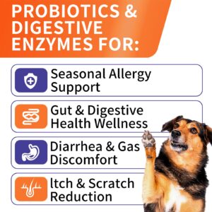 HEYISME Probiotics for Dogs, Improve Yeast Balance, Itchy Skin Itchy Ears, Gut Health, Allergies, Immunity, Dog Probiotics and Digestive Enzymes with Prebiotics - Reduce Diarrhea (Chicken, 120 Chews)