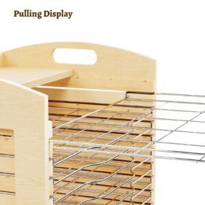 Baoz Art Drying Rack For Classroom, Wall Mounted/Mobile Drying Rack Art With 15 Shelves for Art Studios Classrooms 20.15" D x 13.46" W x 19.05" H