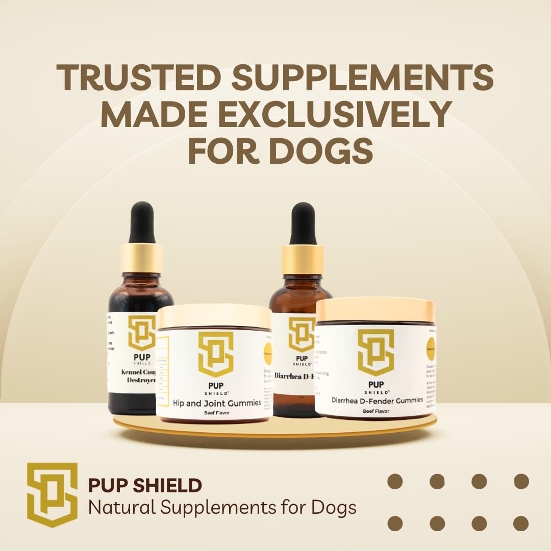 Pup Shield Digestive Support D-Fender Drops Supplement Fast Digestion Vitality | Natural Probiotic Gut Support Soothes Stomach Supports Regularity Real-Pumpkin Flavor Liquid Digestive Aid for Dogs