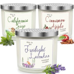 Candles for Home Scented, 3 Pack 3 Wick Large Jar Soy Candle,40.2 oz 300 Hour Long Lasting Candles,Lavender & Sage & Apple Cinnamon Aromatherapy Candle Gift Set