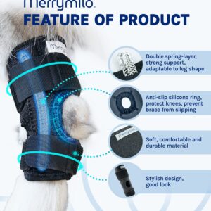 MerryMilo Dog Leg Brace for Rear Hock & Ankle, Canine Hind Leg Joint Compression Wrap for Torn ACL & CCL, Injury and Sprain Protection, Wound Care and Loss of Stability 1 Pair, Size: Large