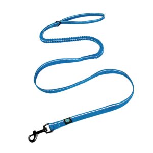 good scout 5' heavy duty bungee leash for small dogs, durable walking & training leash for puppies & adult dogs, d-ring for waste bag storage, blue