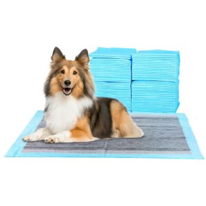 fluffydream super-absorbent waterproof dog and puppy pet training pad, housebreaking pet pad, 100-count small-size, 22"x22", blue, scented