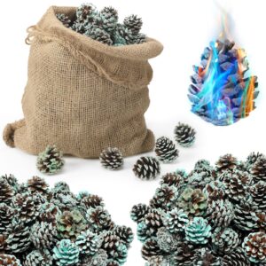 shappy 170 pcs flame color changing pine cones fireplace and firepit color burning pinecones with green blue color flame for holidays campfire wood stove color changing(4 lb in burlap bag)