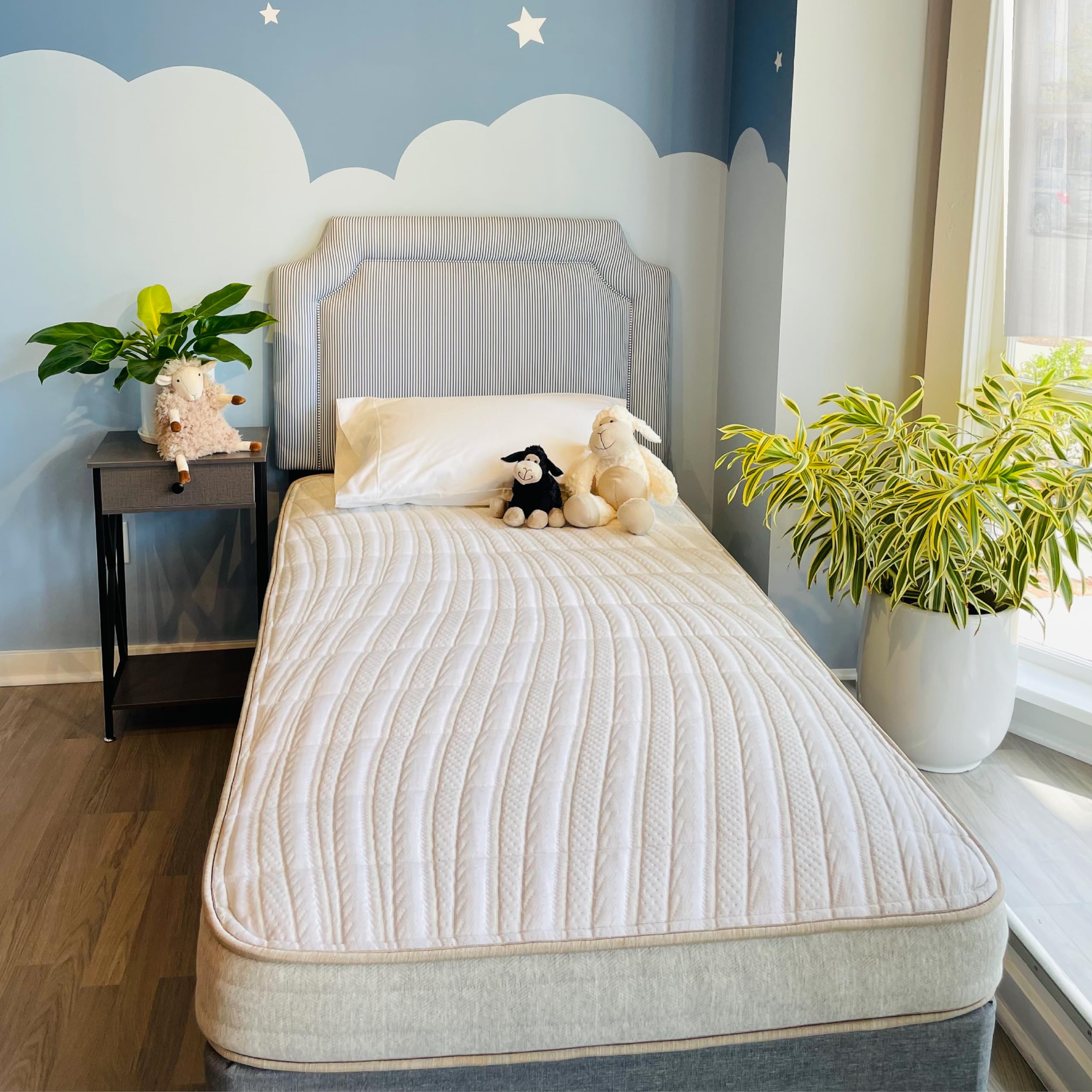 Ethical Mattress CO 6" Kid’s Mattress, Toxin-Free, Made in The USA with Organic Cotton, Wool, Latex & Pocketed Coils (Mattress-in-a-Box); Perfect for bunk beds, trundles & Platform beds - Full Size