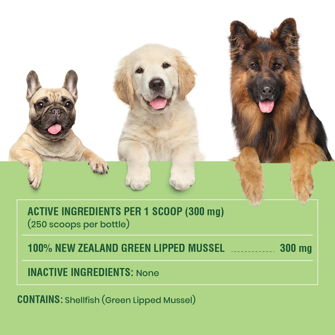 Green Lipped Mussels for Dogs & Cats - Premium Joint Supplement Powder for HIPS, Joints, and Muscles (75 Grams, Up to 250 Servings)