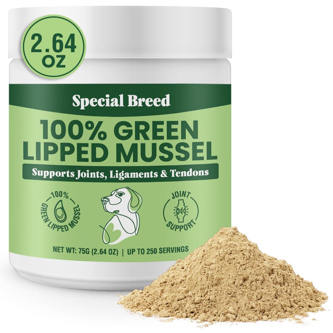 Green Lipped Mussels for Dogs & Cats - Premium Joint Supplement Powder for HIPS, Joints, and Muscles (75 Grams, Up to 250 Servings)