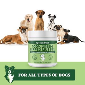 Green Lipped Mussels for Dogs & Cats - Premium Joint Supplement Powder for HIPS, Joints, and Muscles (75 Grams, Up to 250 Servings)