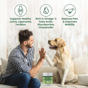 Green Lipped Mussels for Dogs & Cats - Premium Joint Supplement Powder for HIPS, Joints, and Muscles (75 Grams, Up to 250 Servings)