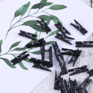 LIOOBO Mini Clothes Pins: 100PCS Small Clothespins for Photo, Wooden Clothes Pin, Clothespin for Photos, Crafts, Arts Black