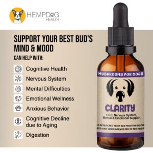 MycoDog Clarity Mushroom Extract & Adaptogen Tincture for Canines - Mushroom & Ashwagandha Supplements for Nervous, Mental, & Emotional Support - Reishi Mushroom, Cordyceps, & Lions Mane Supplement