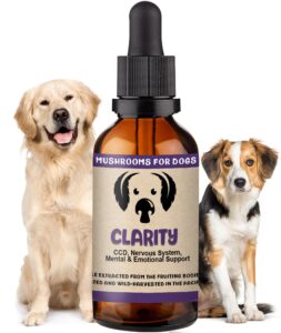 mycodog clarity mushroom extract & adaptogen tincture for canines - mushroom & ashwagandha supplements for nervous, mental, & emotional support - reishi mushroom, cordyceps, & lions mane supplement