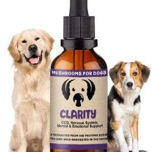 MycoDog Clarity Mushroom Extract & Adaptogen Tincture for Canines - Mushroom & Ashwagandha Supplements for Nervous, Mental, & Emotional Support - Reishi Mushroom, Cordyceps, & Lions Mane Supplement