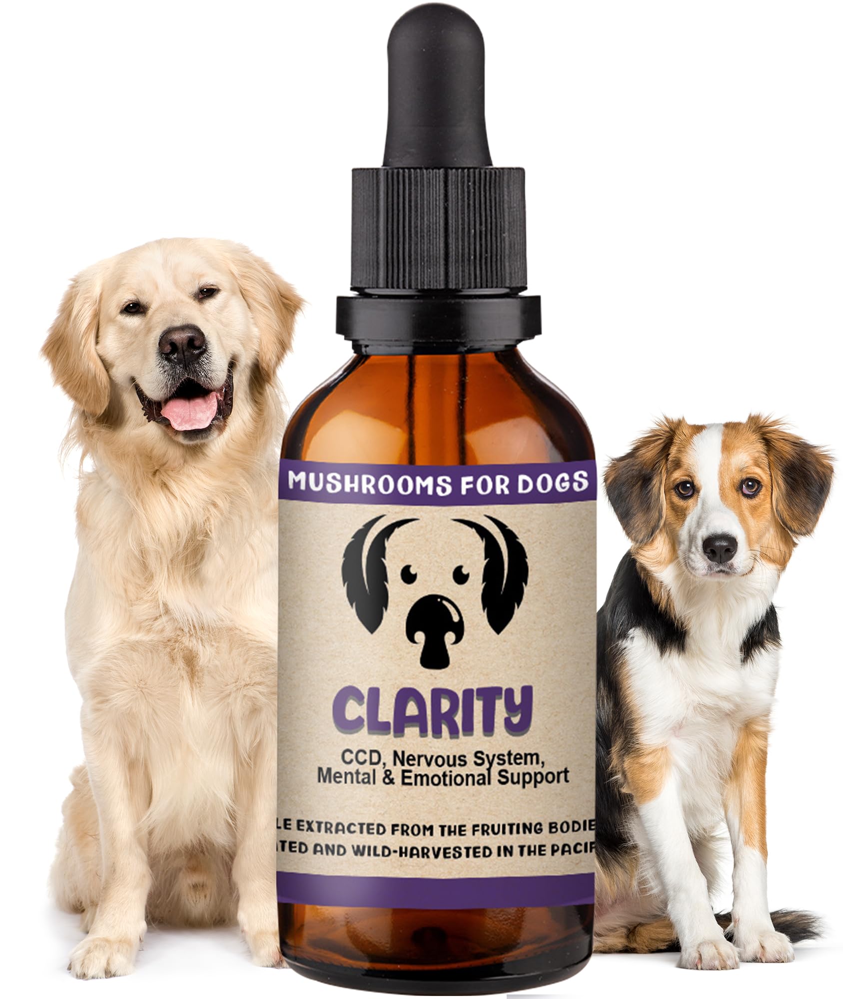 MycoDog Clarity Mushroom Extract & Adaptogen Tincture for Canines - Mushroom & Ashwagandha Supplements for Nervous, Mental, & Emotional Support - Reishi Mushroom, Cordyceps, & Lions Mane Supplement