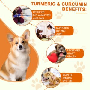 Turmeric for Dogs, 180 Turmeric Curcumin Tablets Supports Heart, Immune System Booster, Hip & Joint Support, Dog Pain Relief, Pet Supplement Treats w/Fish Oil, Curcumin C3-180 Tablets / 5.1 OZ