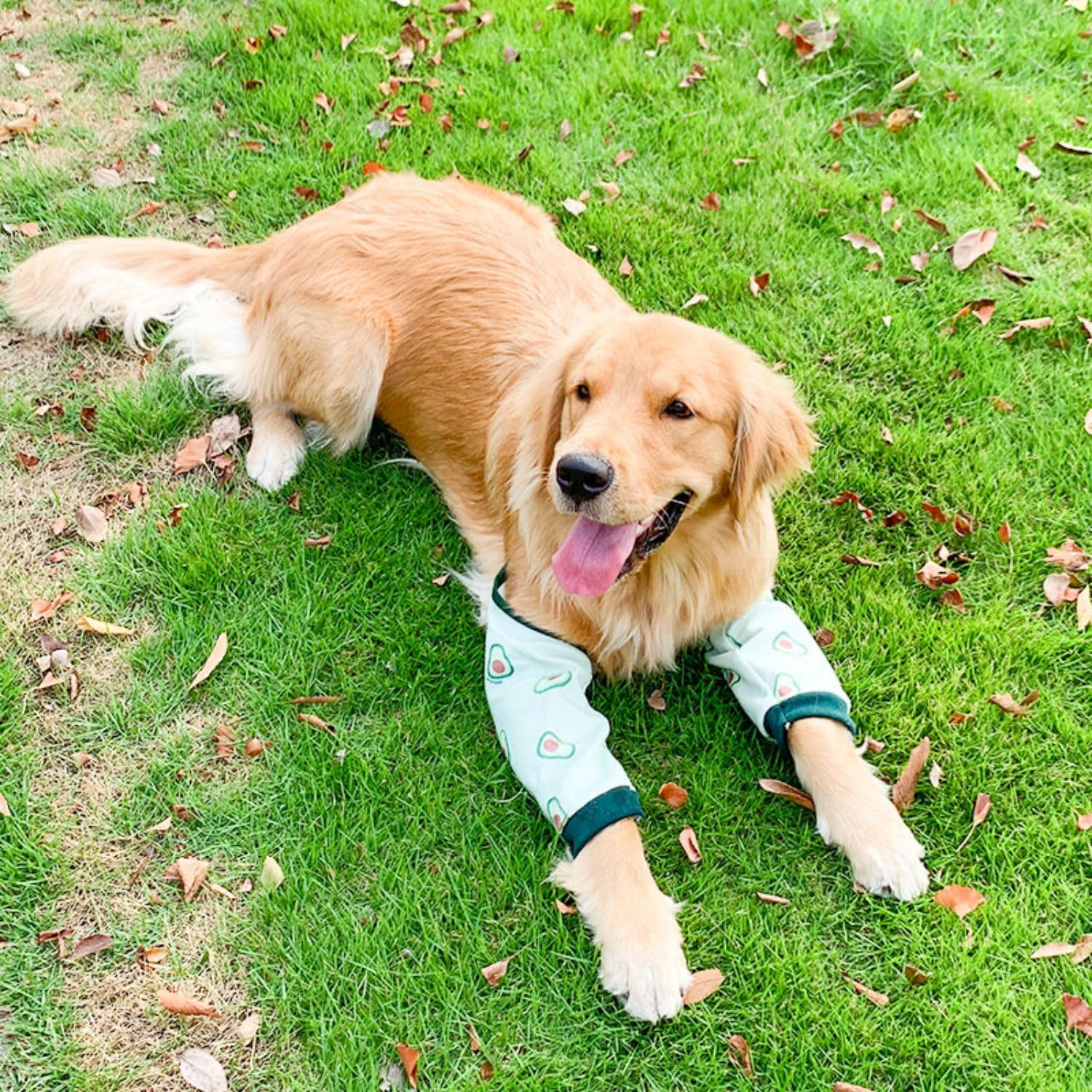 HDKUW Dog Elbow Protector, Dog Leg Recovery Sleeve for Prevent Licking Wound, Joint Sleeves with Mesh Pad for Medium Large Dogs Thickened Avocado 2XL