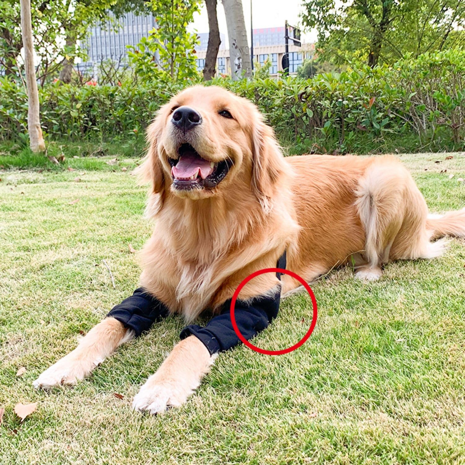 HDKUW Dog Elbow Protector, Dog Leg Recovery Sleeve for Prevent Licking Wound, Joint Sleeves with Mesh Pad for Medium Large Dogs Thickened Black 4XL