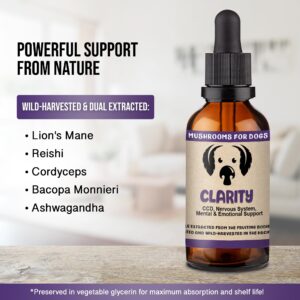 MycoDog Clarity Mushroom Extract & Adaptogen Tincture for Canines - Mushroom & Ashwagandha Supplements for Nervous, Mental, & Emotional Support - Reishi Mushroom, Cordyceps, & Lions Mane Supplement