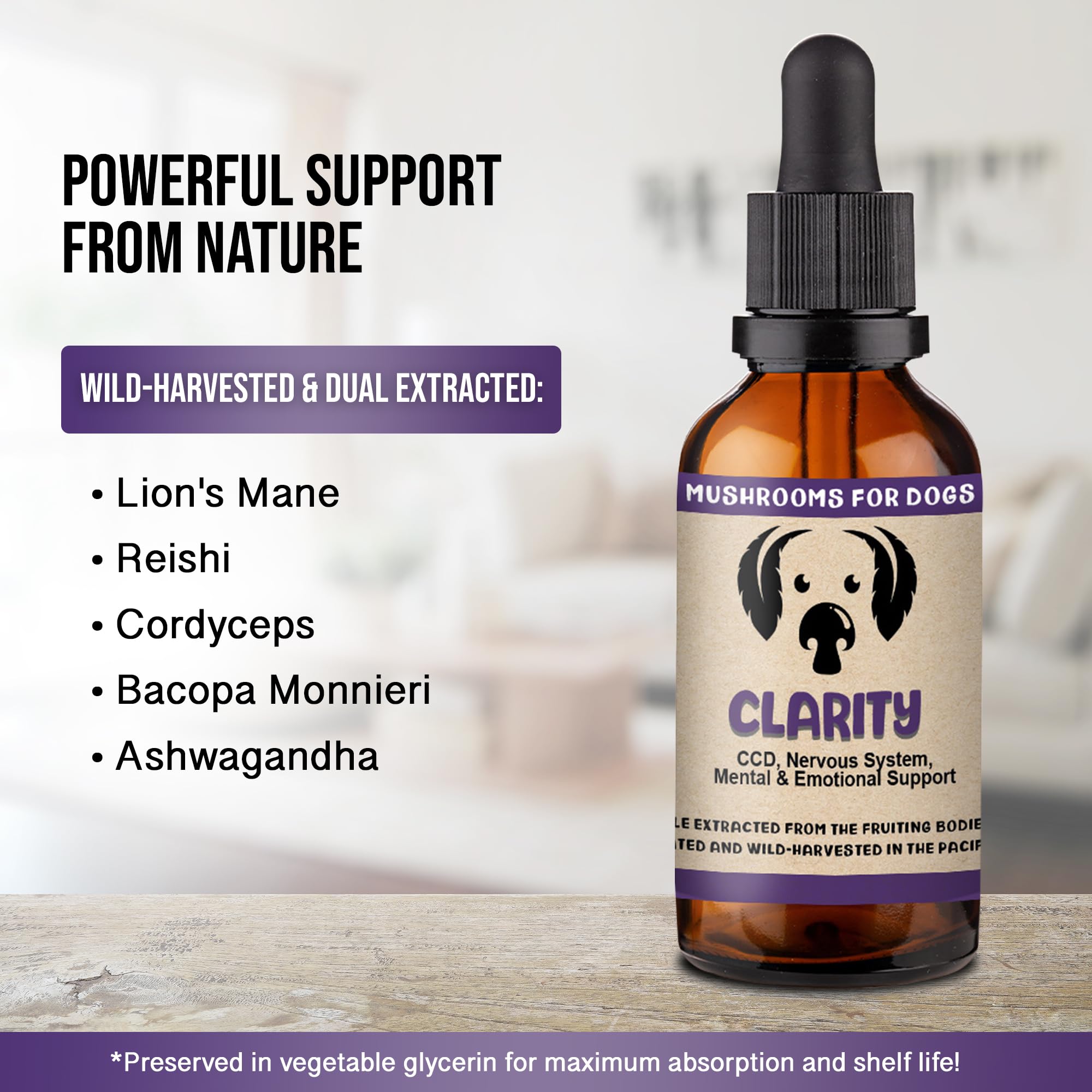 MycoDog Clarity Mushroom Extract & Adaptogen Tincture for Canines - Mushroom & Ashwagandha Supplements for Nervous, Mental, & Emotional Support - Reishi Mushroom, Cordyceps, & Lions Mane Supplement