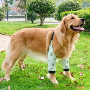 HDKUW Dog Elbow Protector, Dog Leg Recovery Sleeve for Prevent Licking Wound, Joint Sleeves with Mesh Pad for Medium Large Dogs Thickened Avocado 2XL