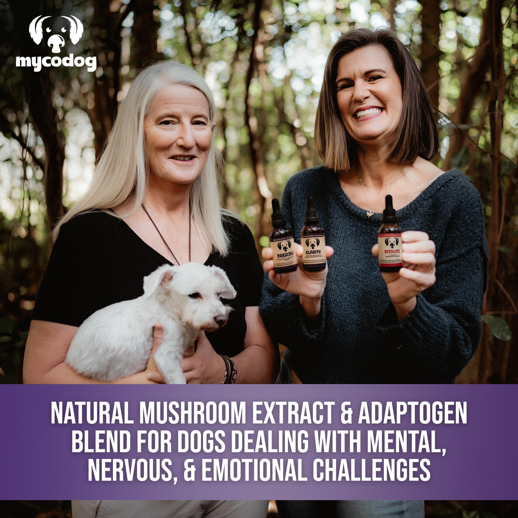 MycoDog Clarity Mushroom Extract & Adaptogen Tincture for Canines - Mushroom & Ashwagandha Supplements for Nervous, Mental, & Emotional Support - Reishi Mushroom, Cordyceps, & Lions Mane Supplement