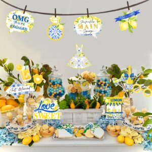 24 Pieces She Found Her Main Squeeze Photo Booth Props - Blue Tile and Lemon Bridal Shower Decorations, Yellow and Blue Capri Lemon Theme Party Supplies