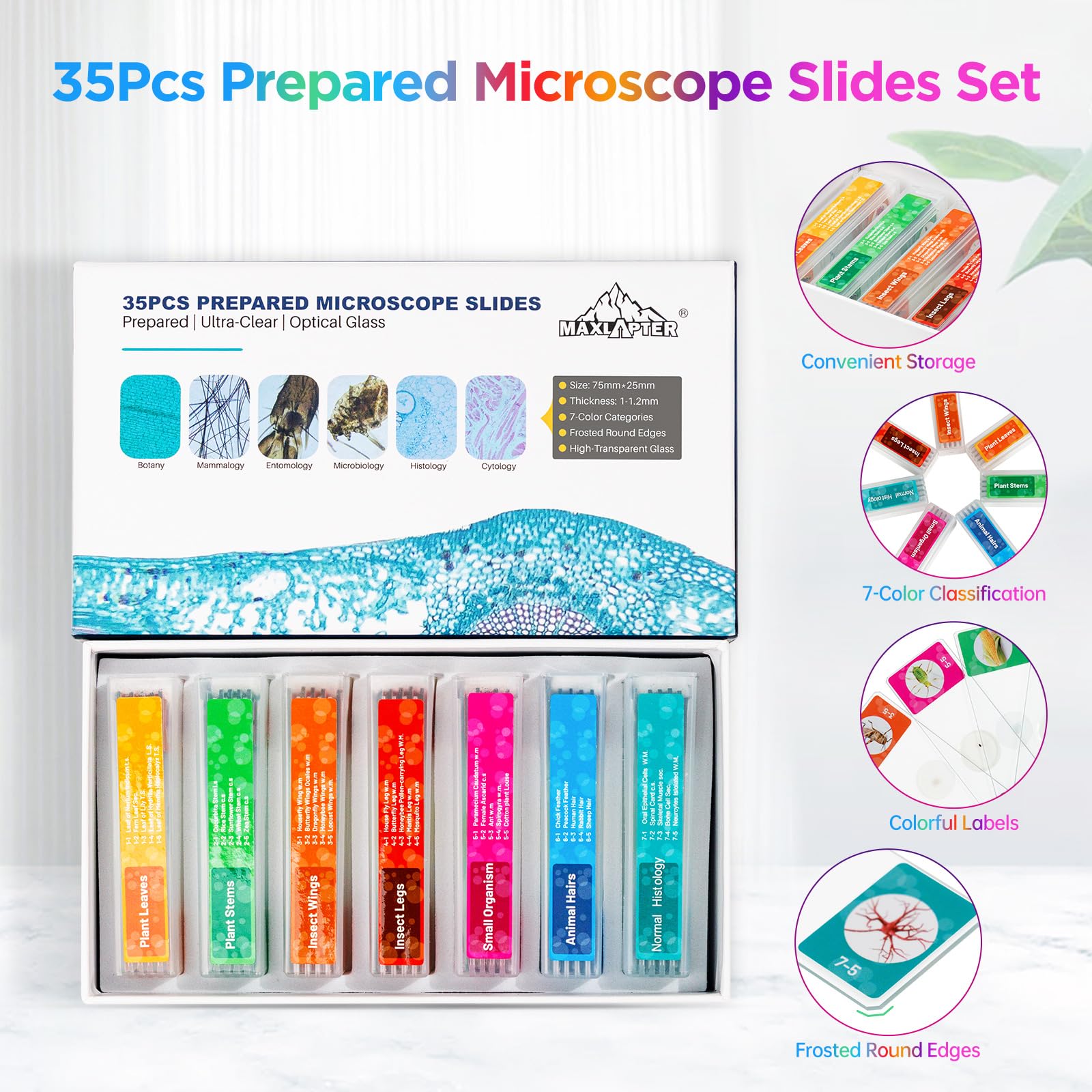 35 Microscope Slides with Specimens for Kids, Prepared Microscope Slides Set with Plants Animals Insects, Microscope Slides for Kids Students Homeschool Basic Education, Best Gift for Kids