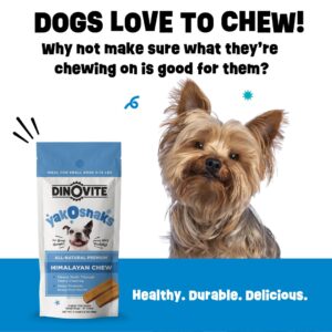 Dinovite YakoSnaks - Himalayan Yak Chews for Dogs - Long Lasting and Low Odor Yak Cheese Dog Chews (Small Dogs)