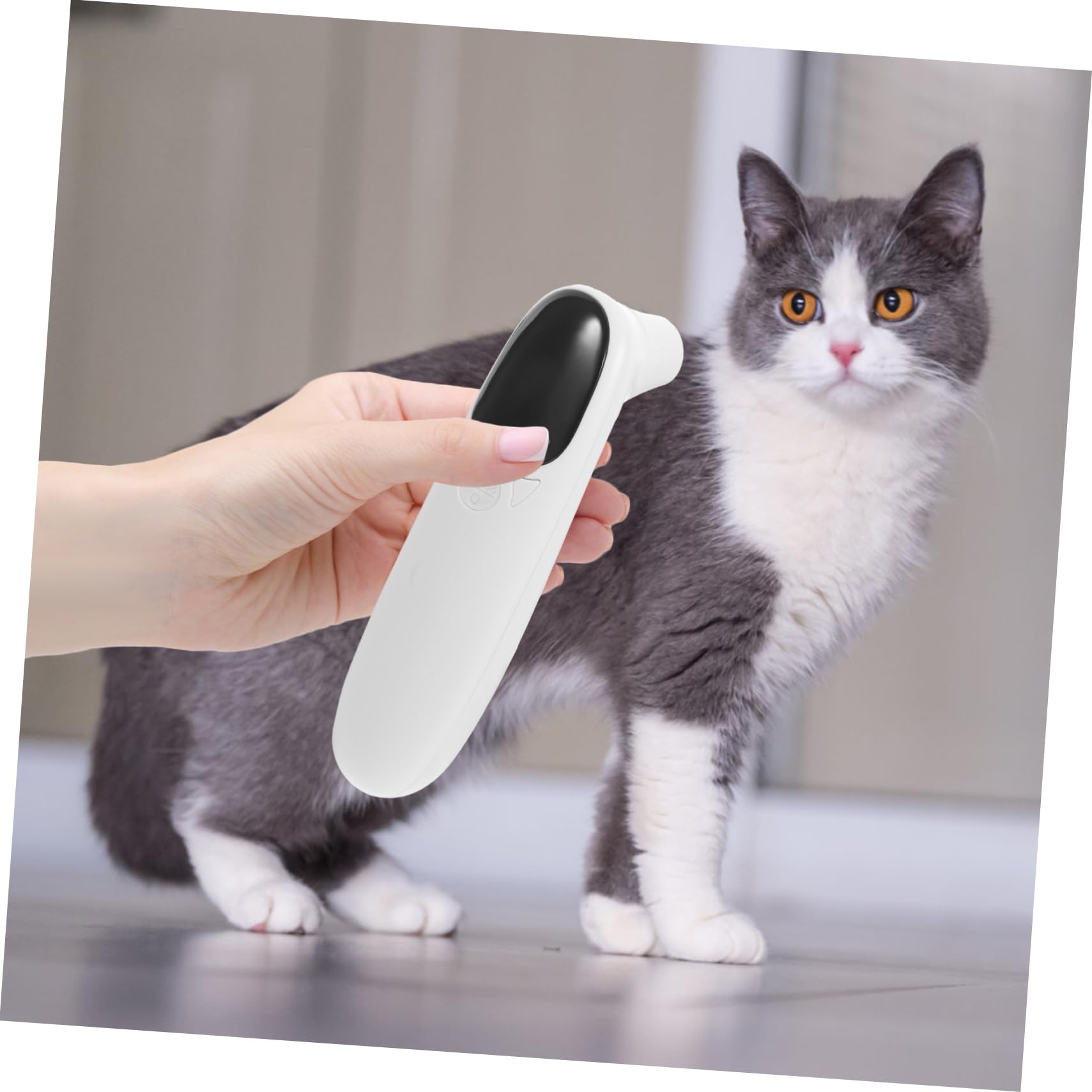 NOLITOY 3 Sets Pet Thermometer Animal Cat Ear Screen Pet Temperature Device Digital Pet Temperature Monitor Pet Ear Pet Screen Thermometer Dog Baby Plastic Forehead Thermometer Chargeable