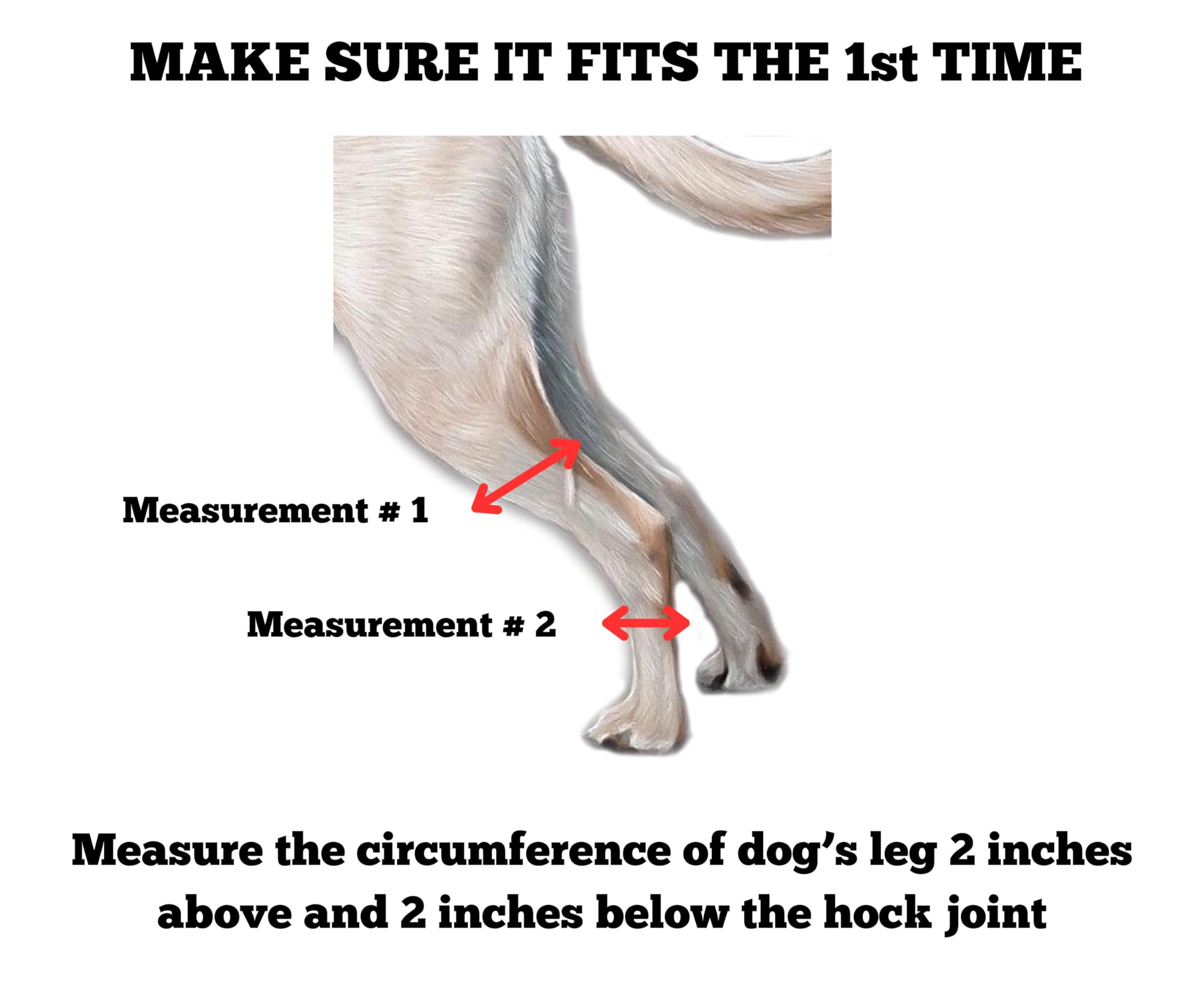 Premium Canine Hock Joint Dog Leg Brace. Rear leg braces for dogs help in Recovery, Injury Protection, Compression Wrap, Loss of Stability Caused by Arthritis. Effective post surgery for dogs rear leg