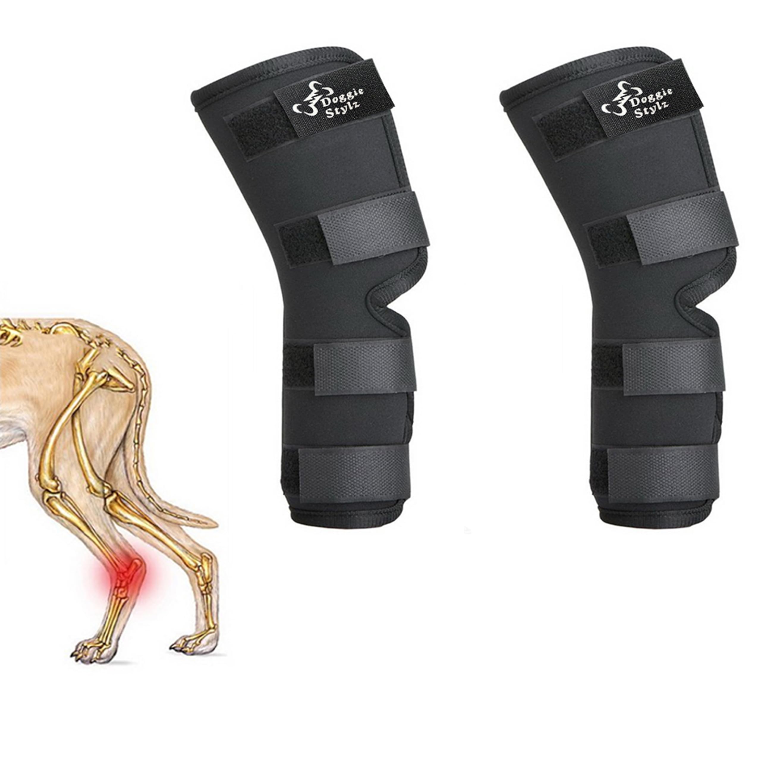 Premium Canine Hock Joint Dog Leg Brace. Rear leg braces for dogs help in Recovery, Injury Protection, Compression Wrap, Loss of Stability Caused by Arthritis. Effective post surgery for dogs rear leg