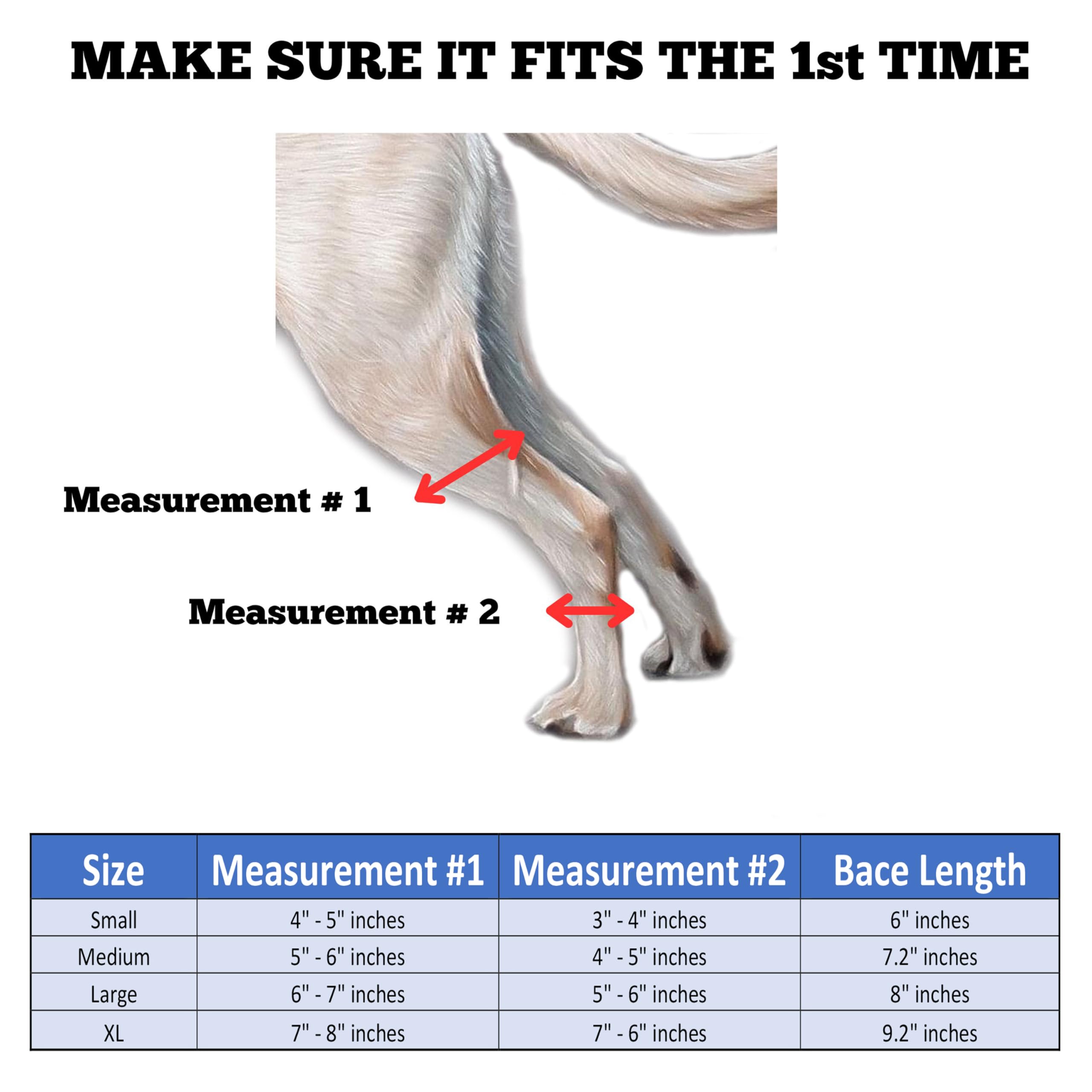 Premium Canine Hock Joint Dog Leg Brace. Rear leg braces for dogs help in Recovery, Injury Protection, Compression Wrap, Loss of Stability Caused by Arthritis. Effective post surgery for dogs rear leg