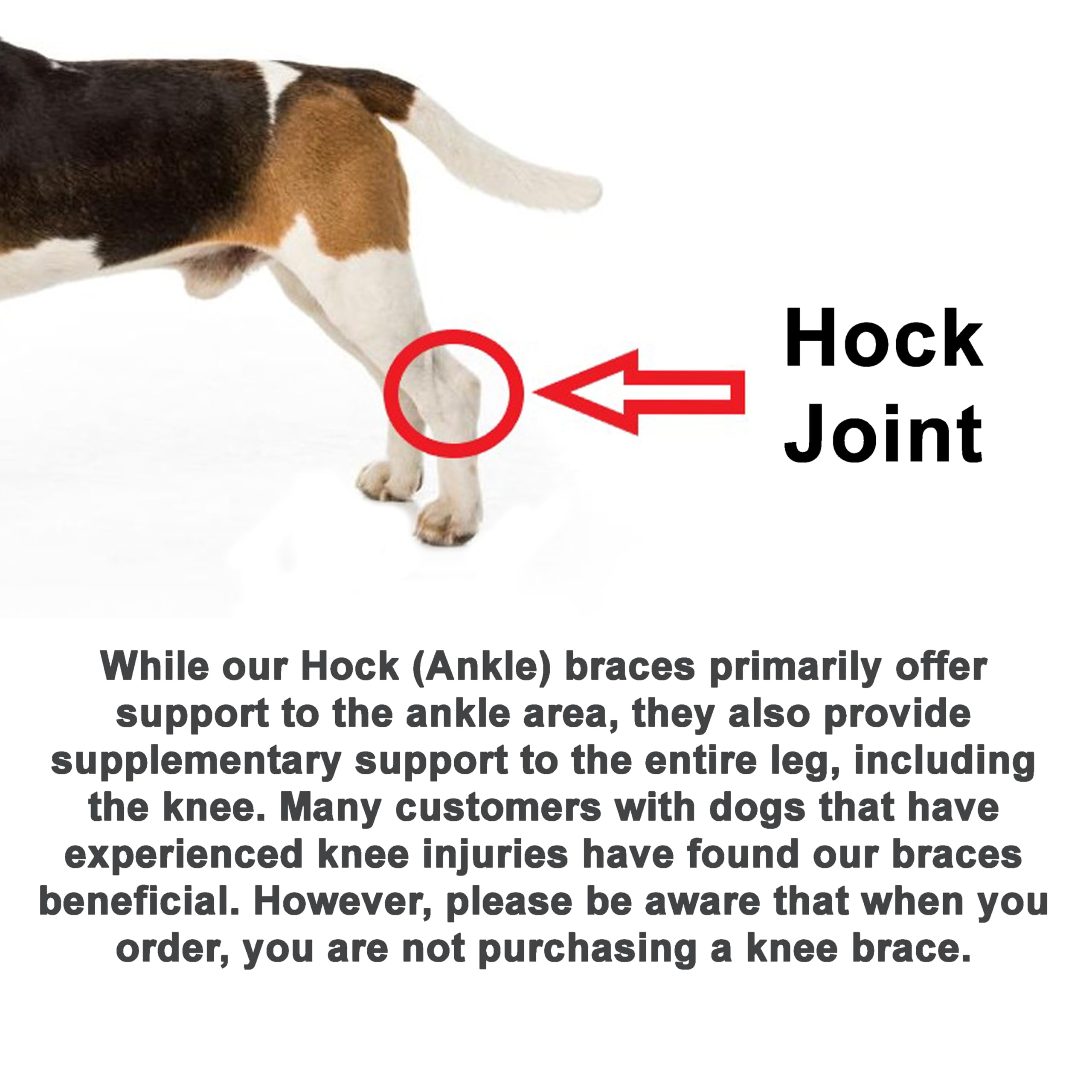 Premium Canine Hock Joint Dog Leg Brace. Rear leg braces for dogs help in Recovery, Injury Protection, Compression Wrap, Loss of Stability Caused by Arthritis. Effective post surgery for dogs rear leg