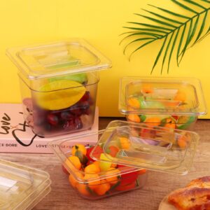 6 Pack 1/6 Size Clear Food Pans with Lids 2.5'' 4'' 6'' Deep Food Storage Containers Plastic Pan Lid with Handle Polycarbonate Universal Restaurant Commercial Hotel Pans for Food Fruits Vegetables