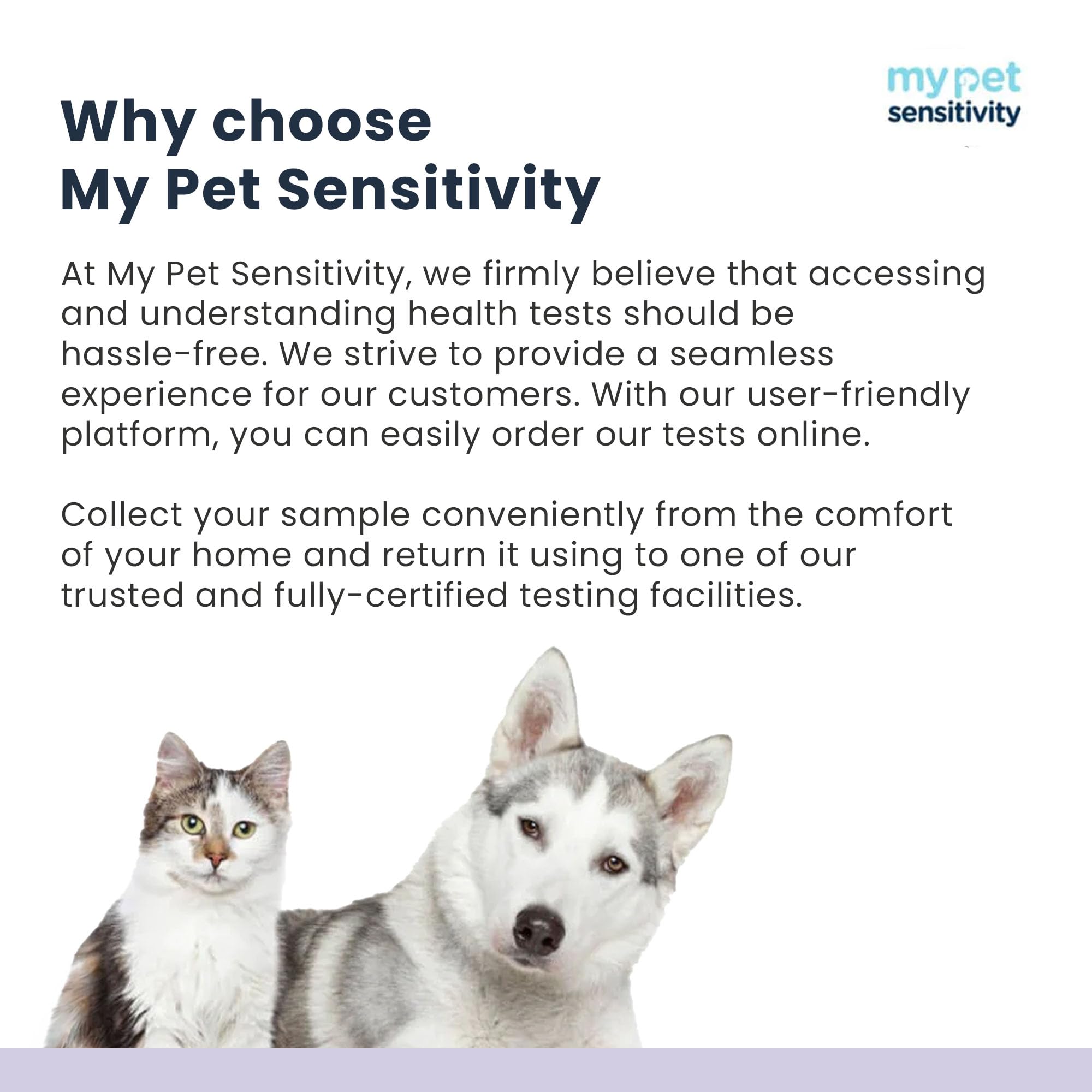 My Pet Sensitivity Test - Home Puppy & Kitten Sensitivity Test | 300 Items | 3-5 Day Results | Non-Invasive Hair Sampling | Comprehensive Food & Environmental Analysis | Ideal for Young Pets