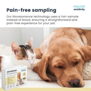 My Pet Sensitivity Advanced Test - at-Home Pet Test | 460 Items | Quick Results | Non-Invasive Hair Collection | Comprehensive Food, Environment, Nutrient & Mineral Analysis | All Breeds & Ages