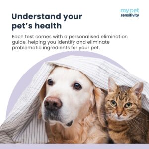 My Pet Sensitivity Test - Home Puppy & Kitten Sensitivity Test | 300 Items | 3-5 Day Results | Non-Invasive Hair Sampling | Comprehensive Food & Environmental Analysis | Ideal for Young Pets