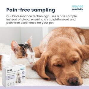 My Pet Sensitivity Test - Home Puppy & Kitten Sensitivity Test | 300 Items | 3-5 Day Results | Non-Invasive Hair Sampling | Comprehensive Food & Environmental Analysis | Ideal for Young Pets