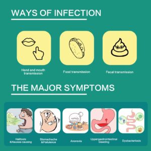 Helicobacter Pylori Stool 2 Test Kits, H. Pylori，10-15 Minutes of Quick Home Testing, The Result is Highly Accurate, Easy to Read and use