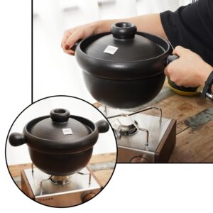 Banko Ware Rice Pot -Ground Product Series- Double Lid, Fluffy Rice, Donabe clay pot for, Microwave and Oven Safe, with English Manual, Made in Japan (3-5 servings)