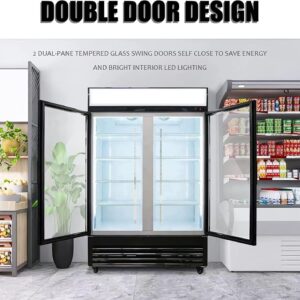 FRICOOL 51" Commercial Glass 2 Door Display Refrigerator Merchandiser - Upright Beverage Cooler With Led Lighting