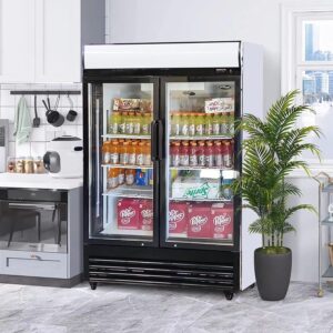 fricool 51" commercial glass 2 door display refrigerator merchandiser - upright beverage cooler with led lighting