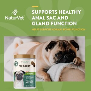 NaturVet Advanced Probiotics, Healthy Enzymes and PB6 Probiotic Supplement for Your Dogs Stomach, 120 Soft Chews & No Scoot for Dogs - 120 Soft Chews - Supports Healthy Anal Gland & Bowel Function