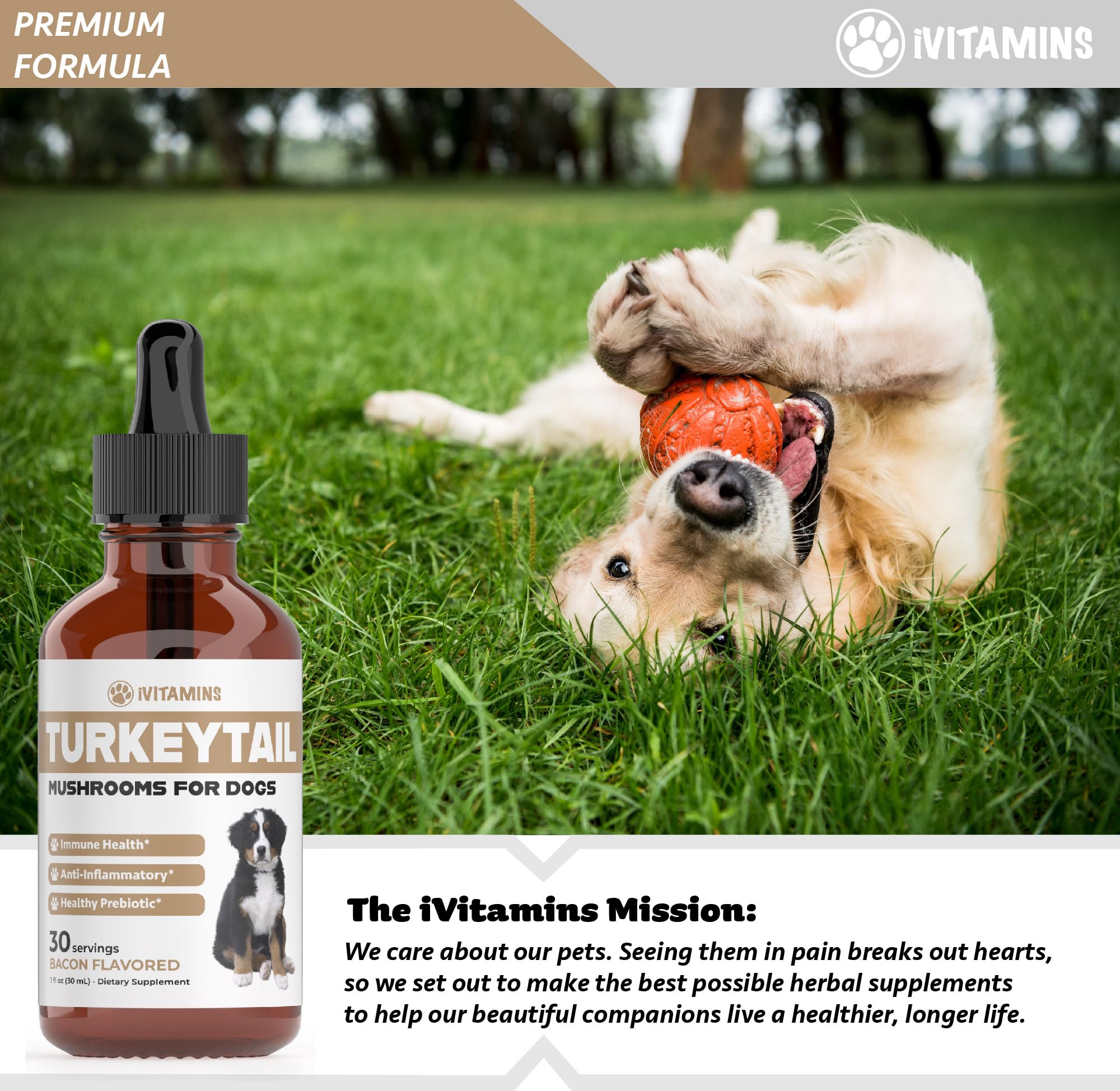 Turkey Tail Mushroom for Dogs | Helps to Boost the Immune System, is a Healthy Prebiotic, & Much More | Turkey Tail for Dogs | Mushrooms for Dogs | Dog Mushroom Supplements | 1 fl oz