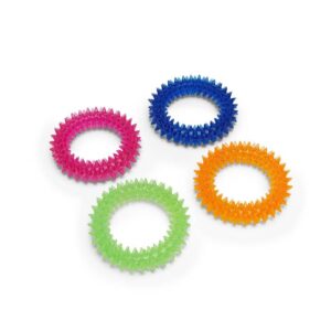 Leaps & Bounds Spiny Ring Assortment Dog Chew Toy Small