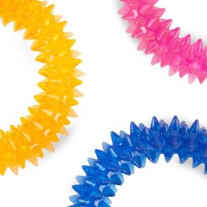 Leaps & Bounds Spiny Ring Assortment Dog Chew Toy Small