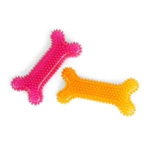 leaps & bounds spiny bone assorted chew toy for dogs large